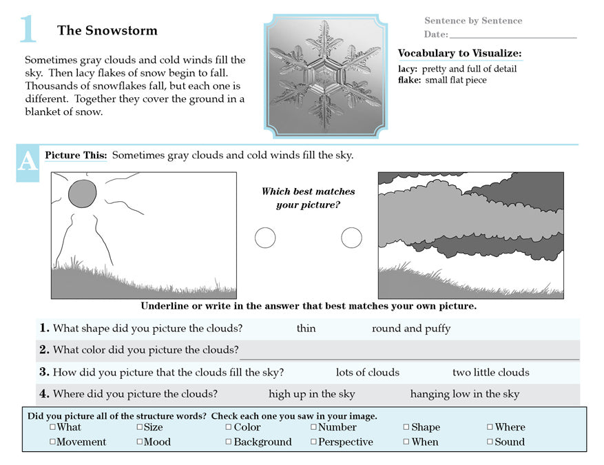 Visualizing and Verbalizing® Kit + Workbooks Bundle – Gander Publishing