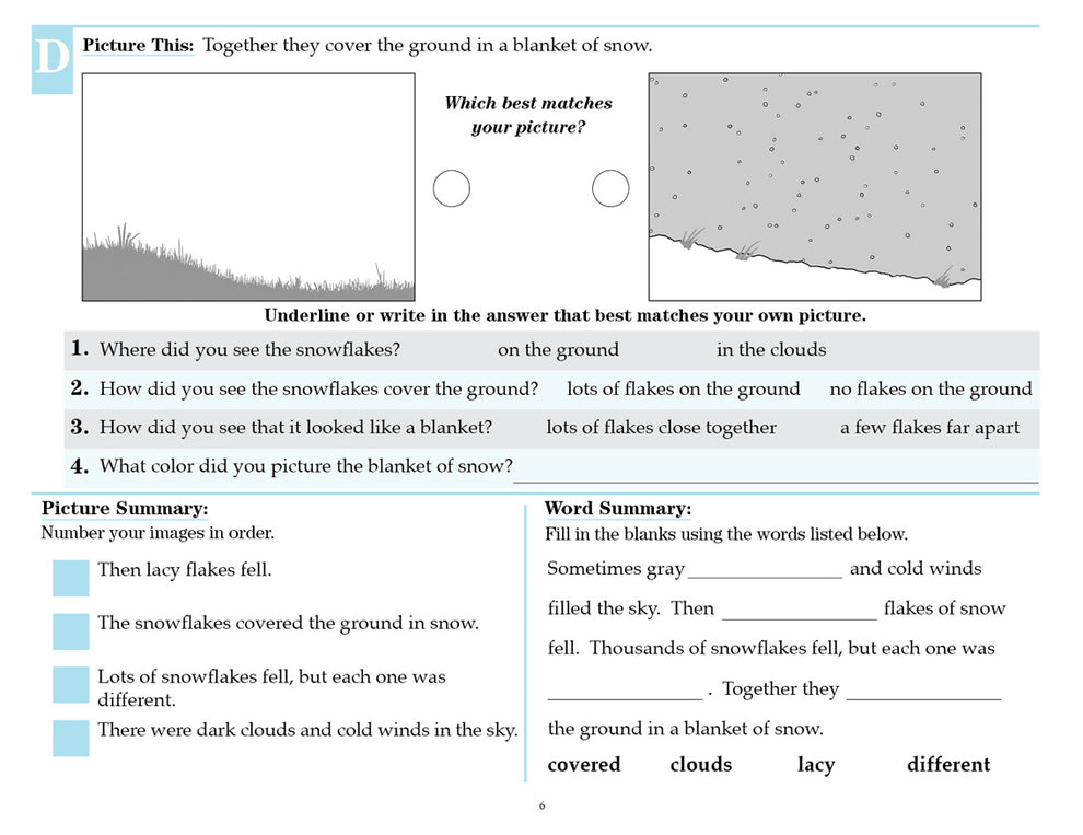 Visualizing and Verbalizing® Kit + Workbooks Bundle – Gander Publishing