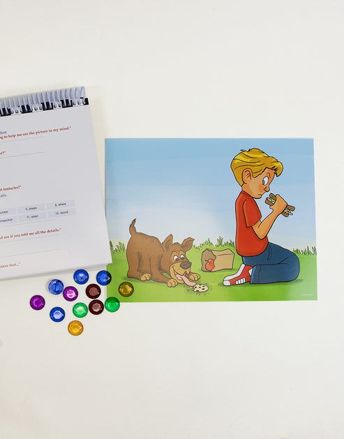Visualizing and Verbalizing® Kit – Gander Publishing