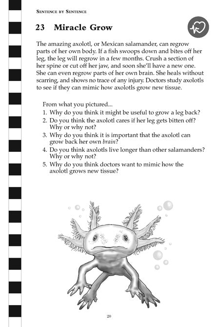 Imagine That! Science – Gander Publishing