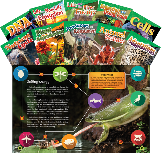 Let's Explore Life Science – Gander Publishing